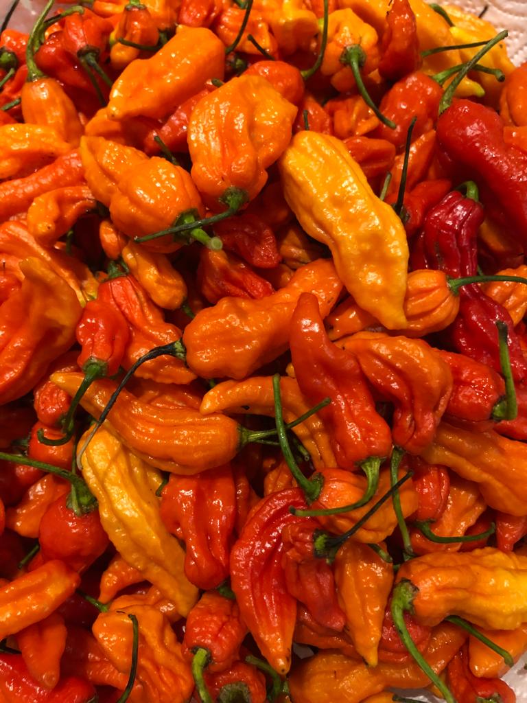 Cork Chilli Company – Award Winning Chilli Sauces Made In Cork.